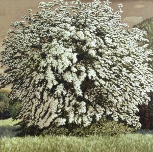 LARGE Prints – DAVID INSHAW