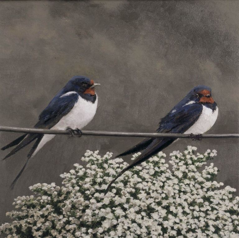 LANDSCAPES – DAVID INSHAW