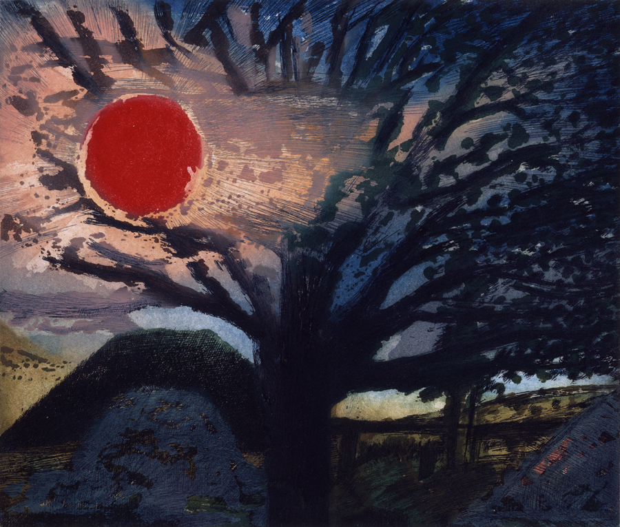 EXHIBITIONS – DAVID INSHAW