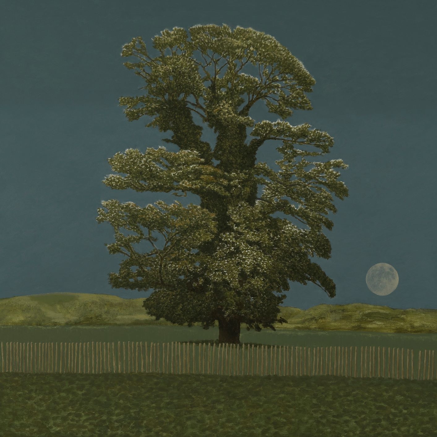 DAVID INSHAW – DANDY INK fine art prints