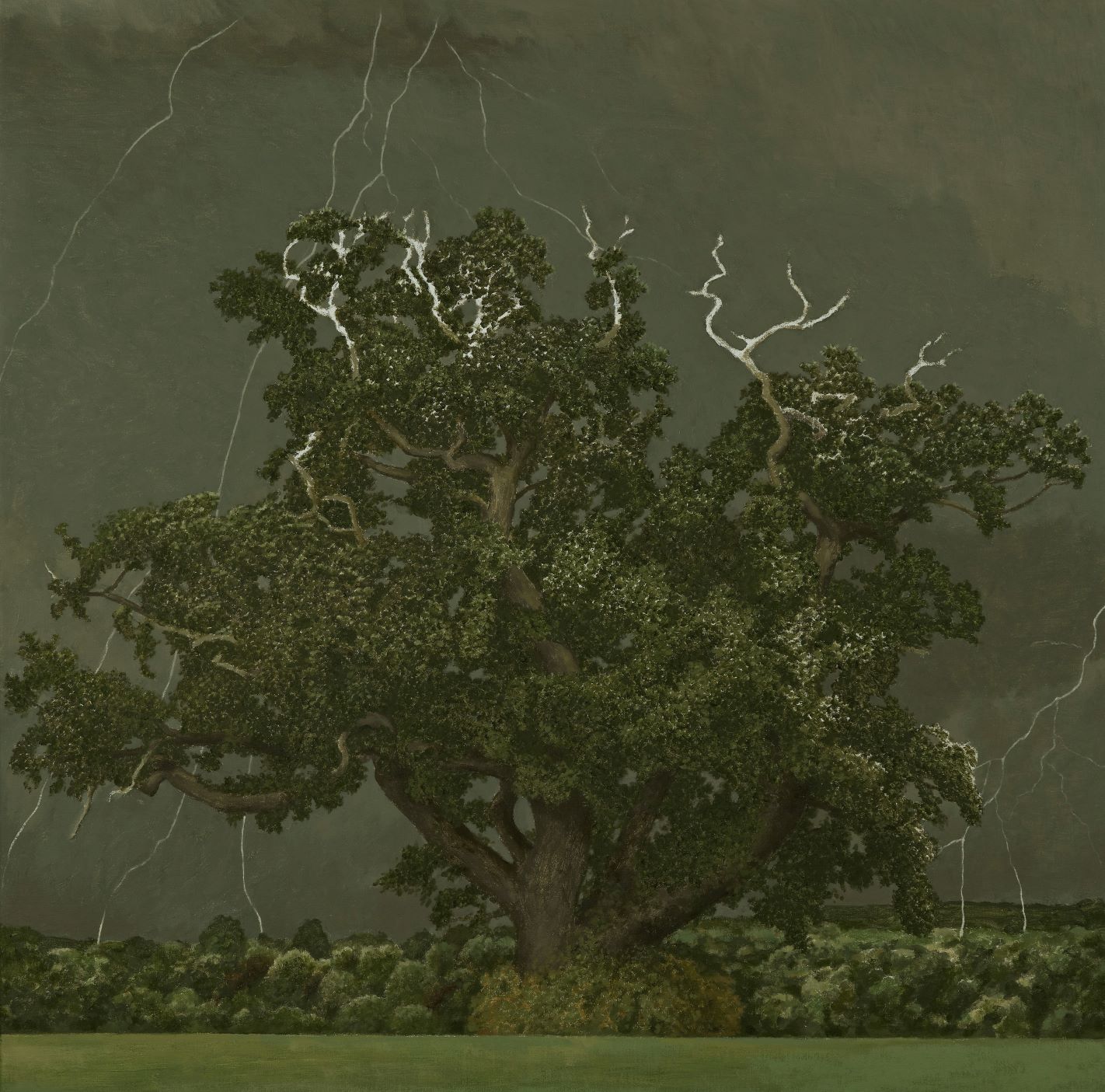 LARGE Prints – DAVID INSHAW